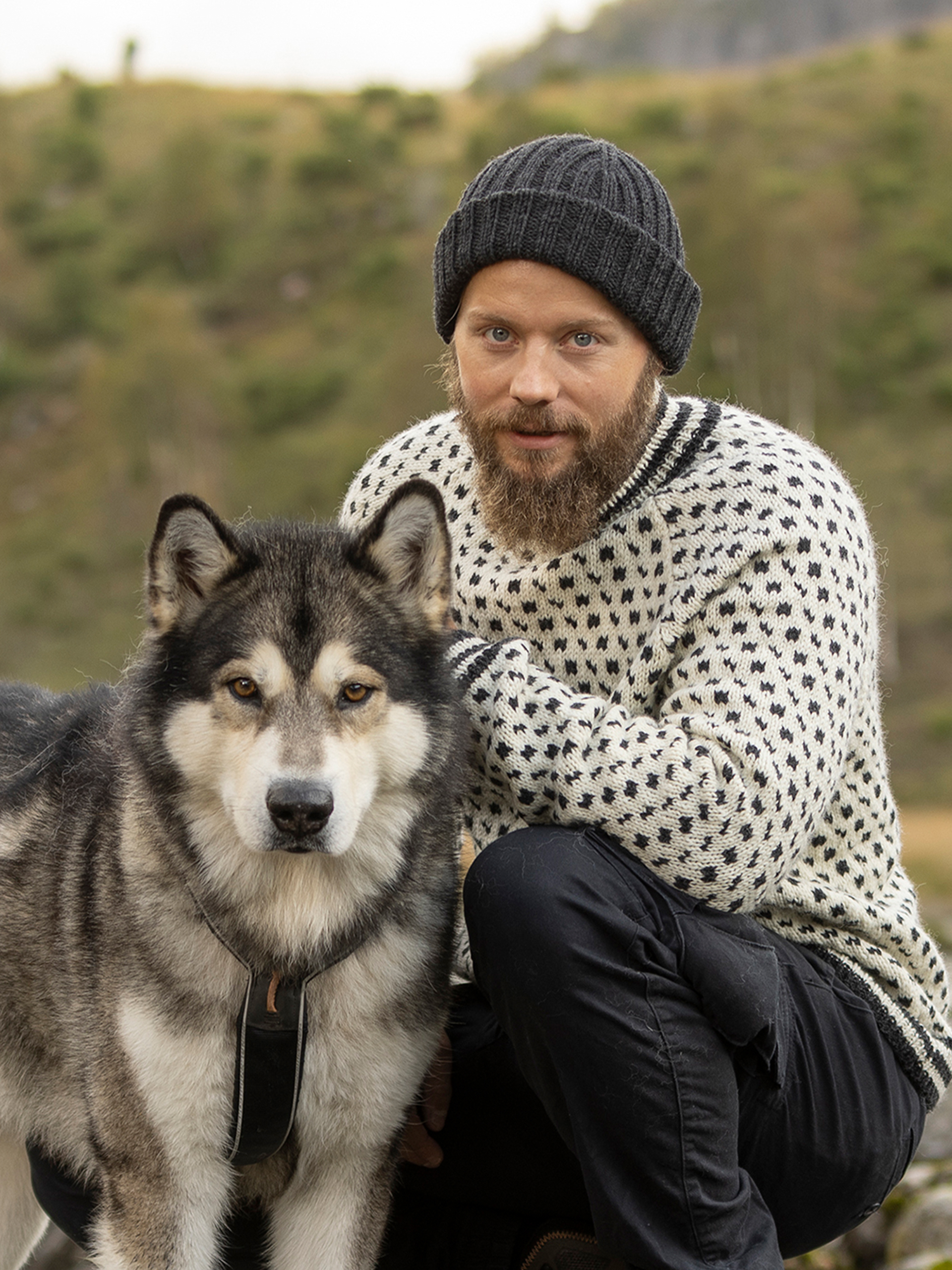 2336-2a Alaska lue - Garnius