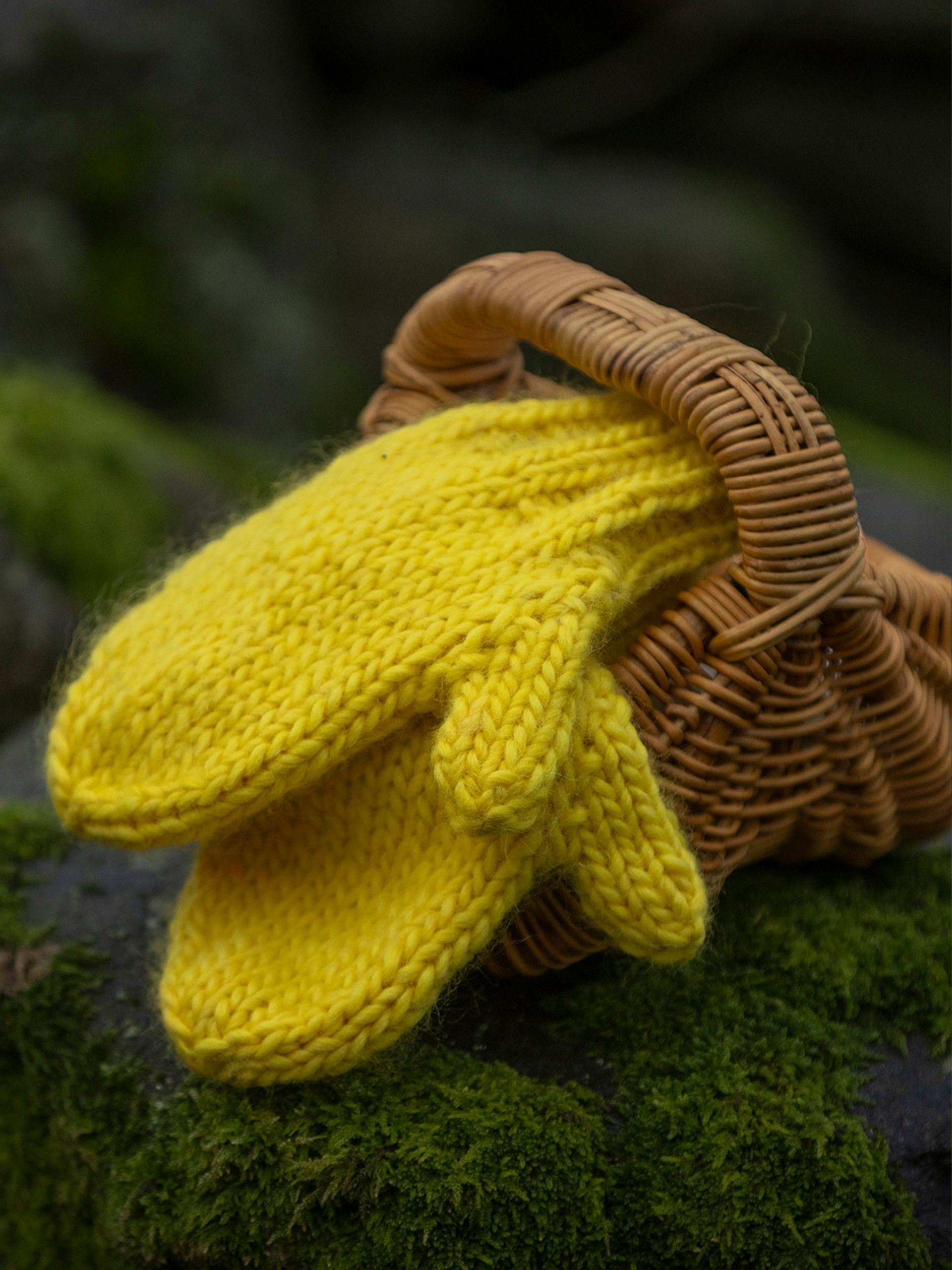 2411-5 Snoi votter - Garnius